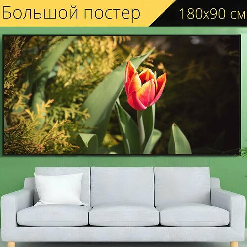 Большой постер "Цветок, тюльпан, сад" 180 x 90 см. для интерьера