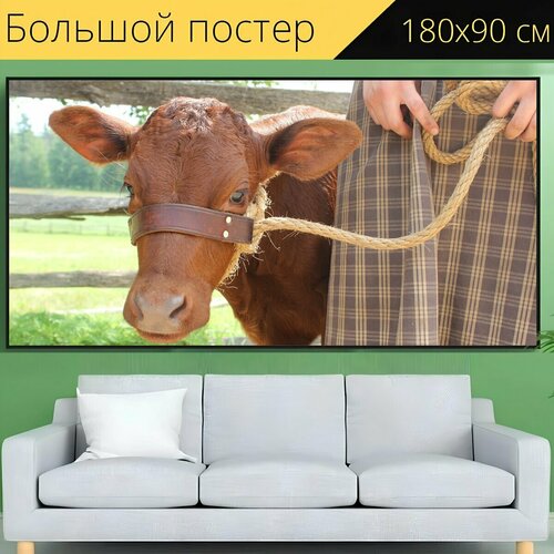 Большой постер "Телец, крупный рогатый скот, животные на ферме" 180 x 90 см. для интерьера