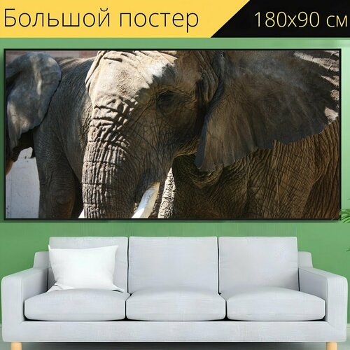 Большой постер "Слон, животное, млекопитающее" 180 x 90 см. для интерьера