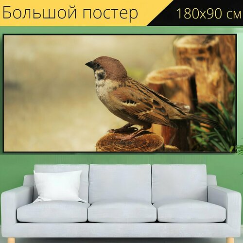 Большой постер "Птица, природа, дикой природы" 180 x 90 см. для интерьера