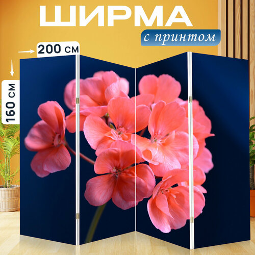 Ширма перегородка с принтом "Весна, цветок, красота" на холсте - 200x160 см. для зонирования, раскладная