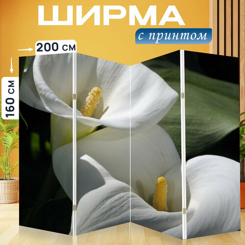 Ширма перегородка с принтом "Орхидея, цветок, цвести" на холсте - 200x160 см. для зонирования, раскладная