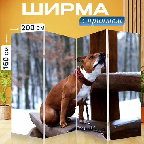 Ширма перегородка с принтом "Собака, животные, животное" на холсте - 200x160 см. для зонирования, раскладная