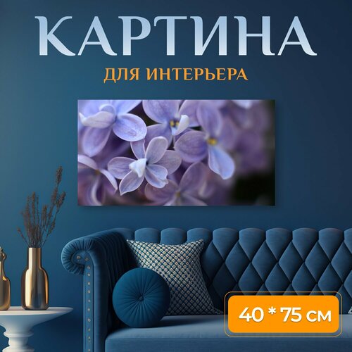 Картина на холсте "Сирень, фиолетовый, растение" на подрамнике 75х40 см. для интерьера