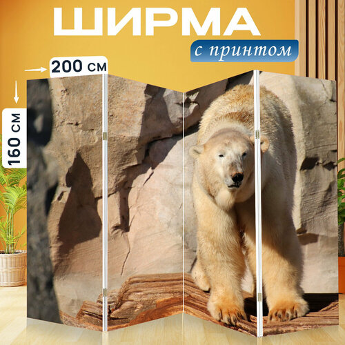 Ширма перегородка с принтом "Полярный медведь, животное, дикая природа" на холсте - 200x160 см. для зонирования, раскладная