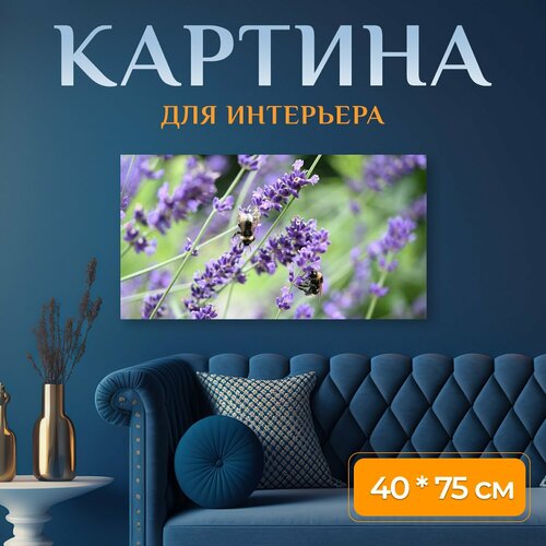 Картина на холсте "Лаванда, цветок, фиолетовый" на подрамнике 75х40 см. для интерьера