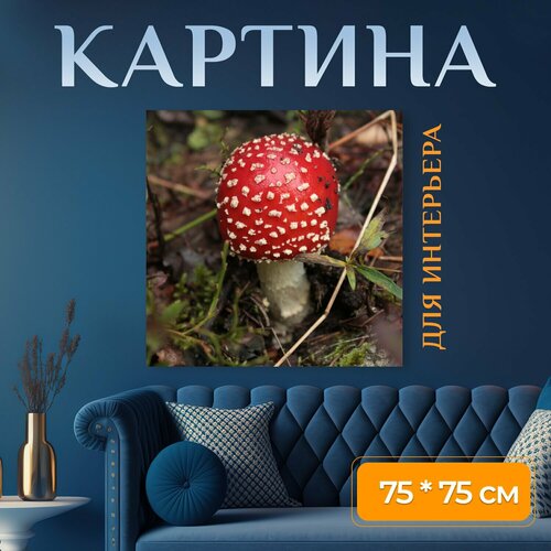 Картина на холсте "Красный мухомор, гриб, ядовитый" на подрамнике 75х75 см. для интерьера