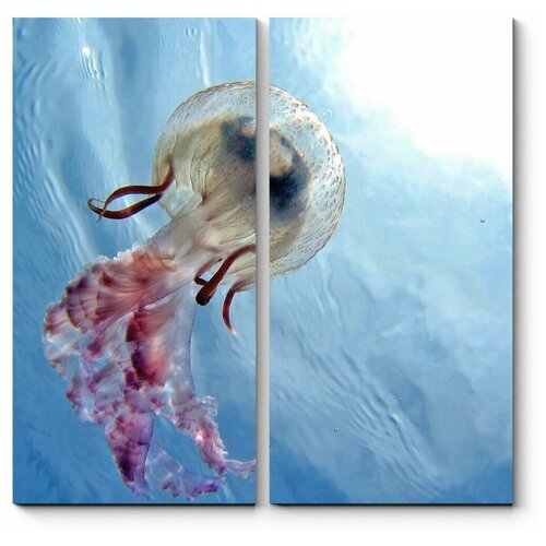 Модульная картина Прекрасная медуза90x90