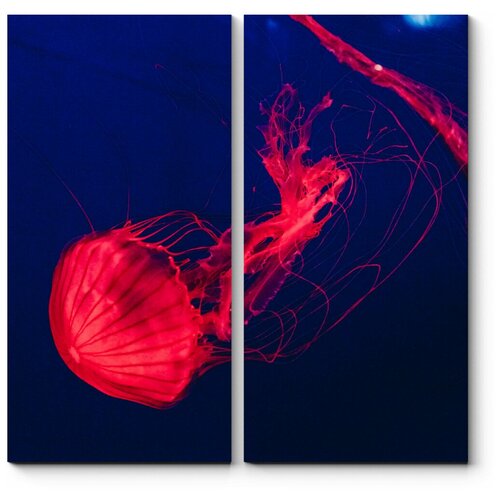 Модульная картина Алая медуза 40x40