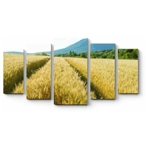 Модульная картина Пшеничное поле в лучах солнца 200x110