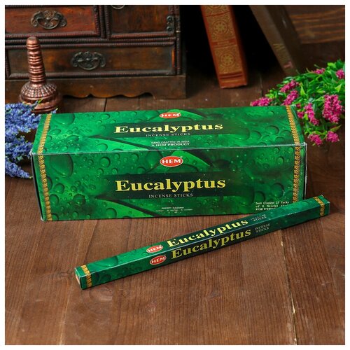 Благовония "HEM" 8 палочек угольные eucalyptus