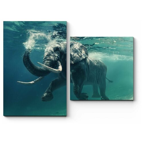 Модульная картина Слон покоряет океан 40x30