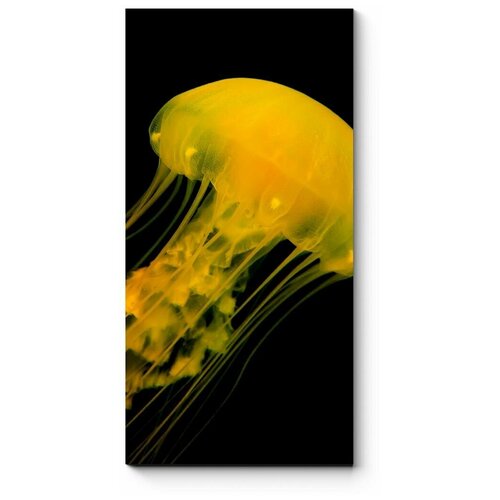 Модульная картина Золотая медуза 20x40
