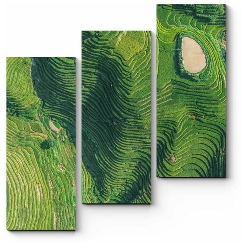 Модульная картина Линии рисовых полей 110x117
