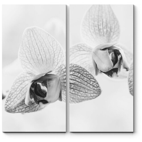 Модульная картина Черно-белые орхидеи 80x80
