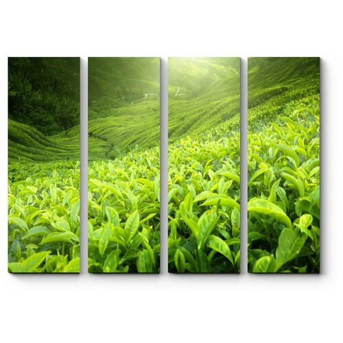 Модульная картина Бескрайняя зелень полей 90x68