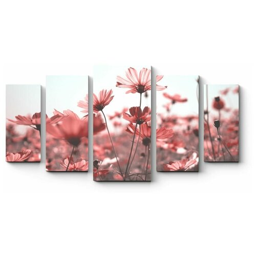Модульная картина Розовое поле цветов 160x88