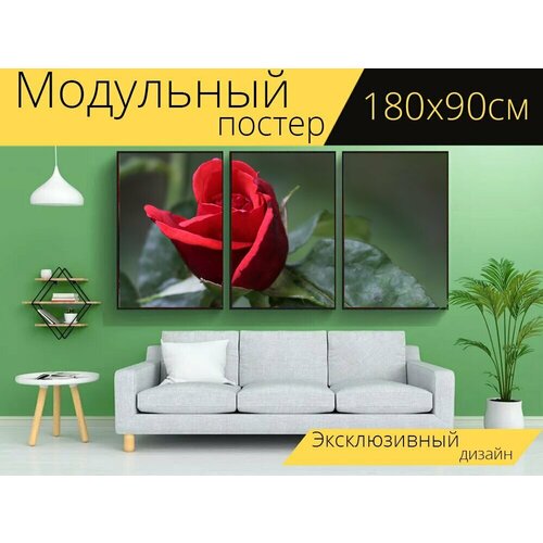 Модульный постер "Красная роза бархат, символ любви, романтичный" 180 x 90 см. для интерьера