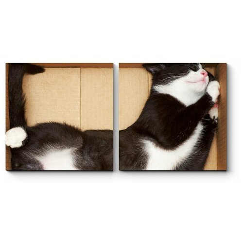 Модульная картина Кот в картонном домике 110x55