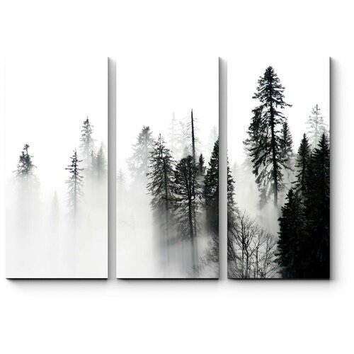 Модульная картина Лес в утреннем тумане 160x115