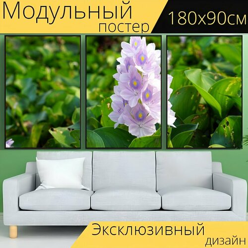 Модульный постер "Цветы гиацинт, цветок, фиолетовый" 180 x 90 см. для интерьера