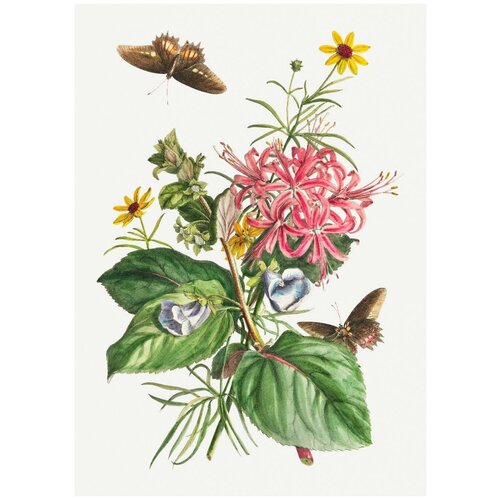 Постер / Плакат / Картина Бабочки - Бабочки и розовые цветы 40х50 см в раме