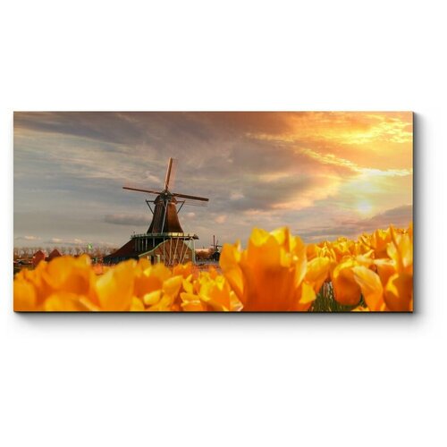 Модульная картина Ветряная мельница и желтые тюльпаны на закате 200x100
