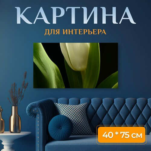 Картина на холсте "Тюльпан, цветок, завод" на подрамнике 75х40 см. для интерьера