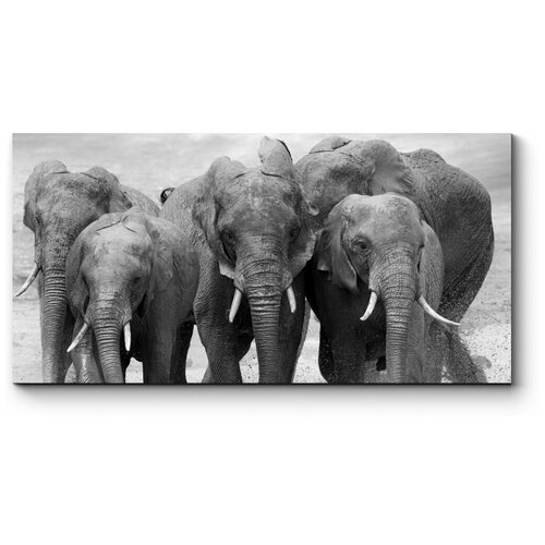 Модульная картина Слоны на озере 50x25