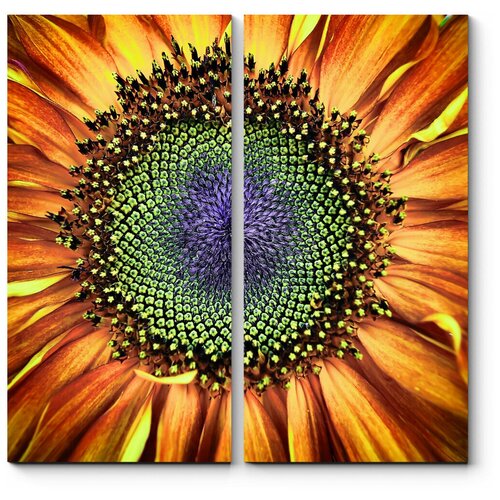 Модульная картина Внутри цветка солнца 130x130