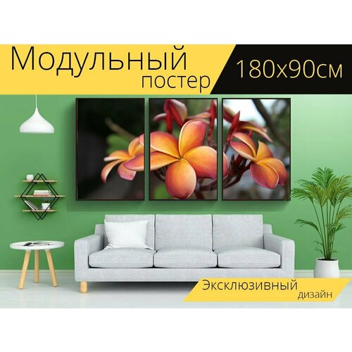 Модульный постер "Frangipani, тропический, цветок" 180 x 90 см. для интерьера