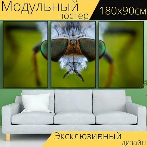 Модульный постер "Макро, насекомое, беспозвоночное" 180 x 90 см. для интерьера