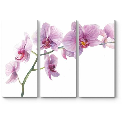 Модульная картина Ветка чудесной орхидеи 80x57