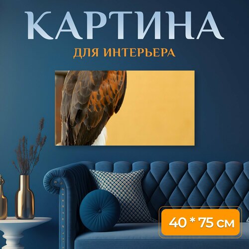 Картина на холсте "Птица, хищник, орел" на подрамнике 75х40 см. для интерьера
