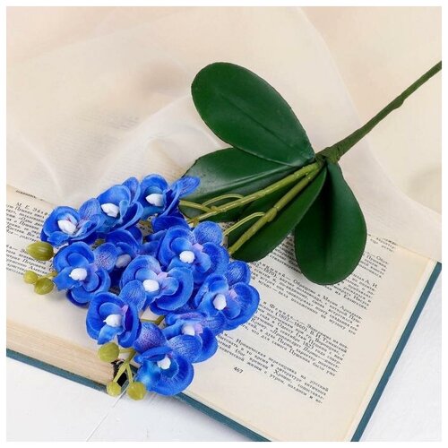 Цветы искусственные Орхидея королевская 3,5х28 см, синий