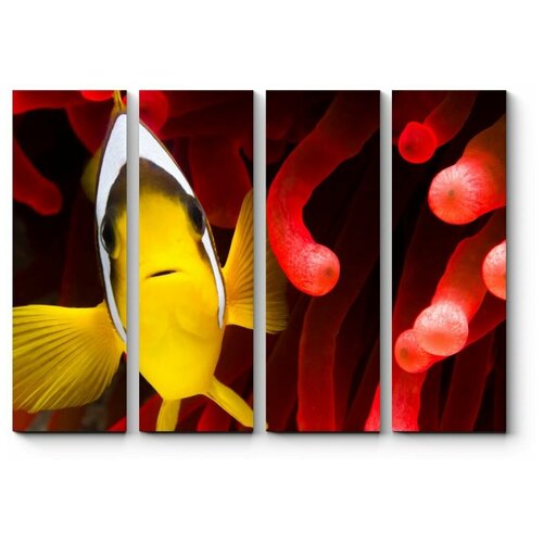 Модульная картина Рыбка в кораллах 160x120