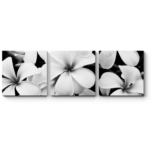 Модульная картина Лаконичные цветы 140x47