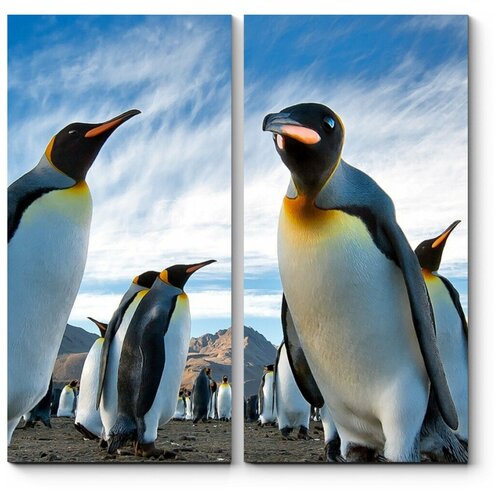 Модульная картина Любопытные пингвины 50x50