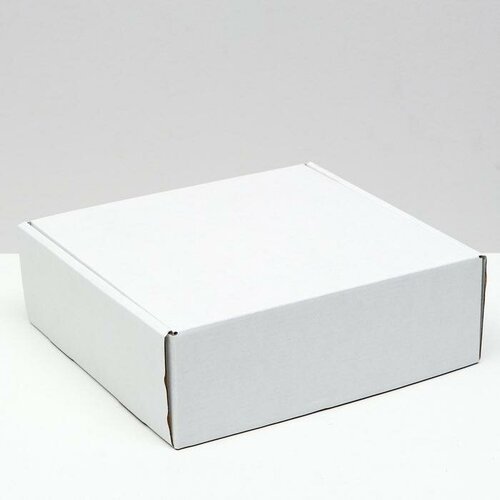 Коробка самосборная, белая, 24 х 23 х 8 см (5 шт)