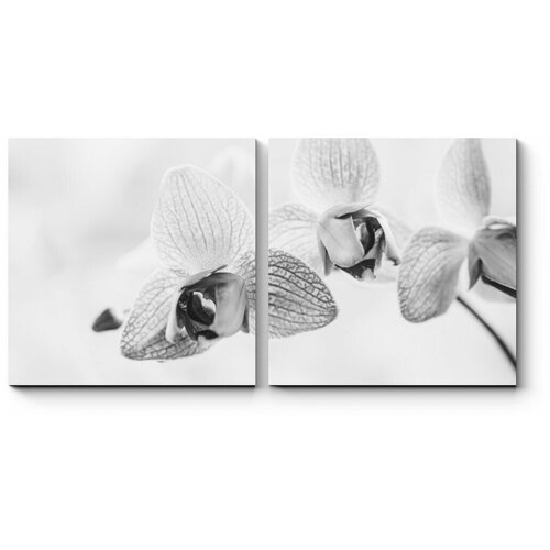 Модульная картина Черно-белые орхидеи 100x50