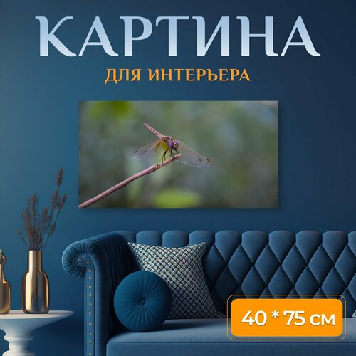 Картина на холсте "Стрекоза, красная стрекоза, насекомое" на подрамнике 75х40 см. для интерьера
