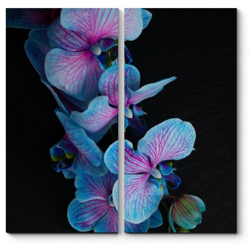 Модульная картина Голубая орхидея60x60