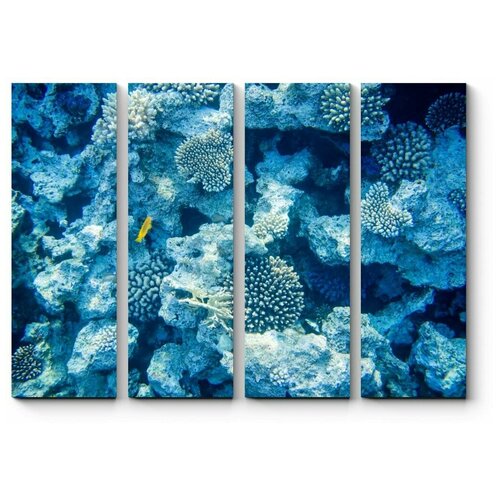 Модульная картина Коралловые рифы 120x90
