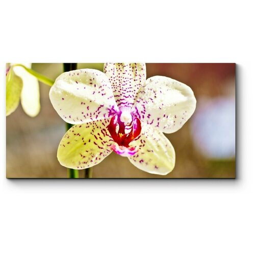 Модульная картина Тигровая орхидея 150x75