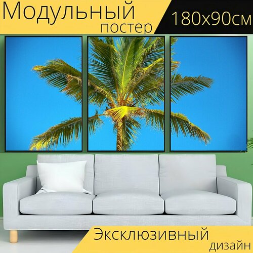 Модульный постер "Пальма, карибский бассейн, пляж" 180 x 90 см. для интерьера