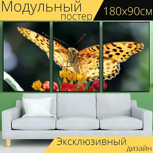 Модульный постер "Бабочка, насекомые, природа" 180 x 90 см. для интерьера