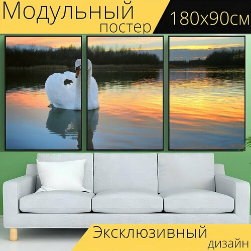 Модульный постер "Лебедь, озеро, послесвечение" 180 x 90 см. для интерьера