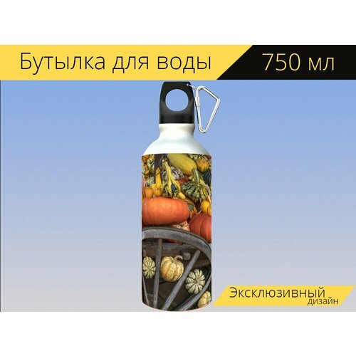Бутылка фляга для воды "Тыквы, падение, апельсин" 750 мл. с карабином и принтом