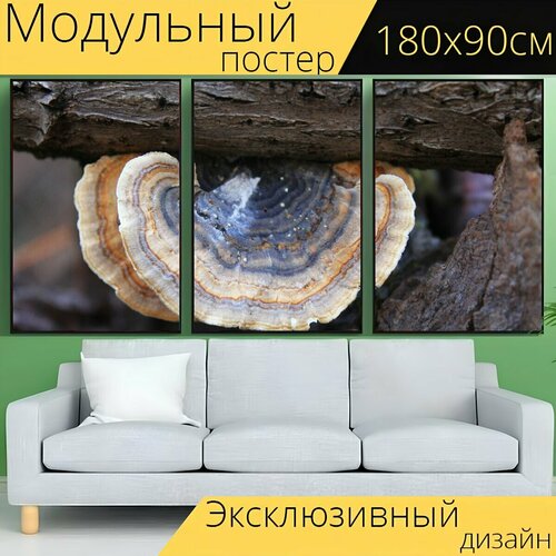 Модульный постер "Грибок, природа, грибы" 180 x 90 см. для интерьера