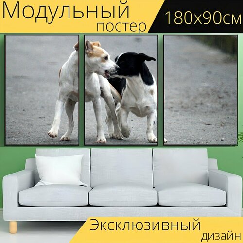 Модульный постер "Животные, собаки, домашний питомец" 180 x 90 см. для интерьера